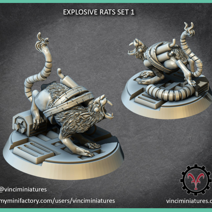 3D Printable EXPLOSIVE RATS SET 1 by vinciminiatures