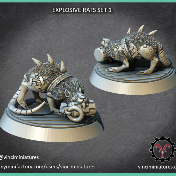 3D Printable EXPLOSIVE RATS SET 1 by vinciminiatures