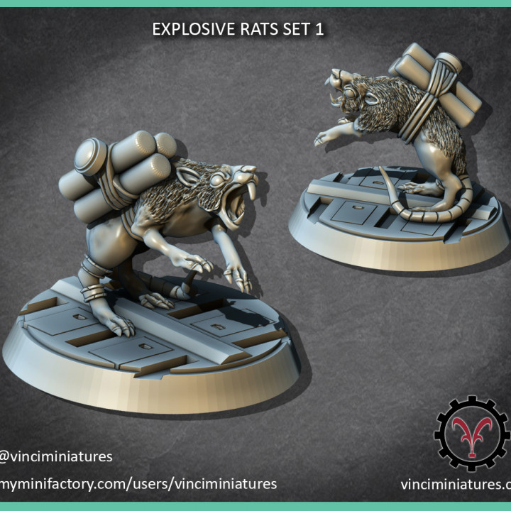 3D Printable EXPLOSIVE RATS SET 1 by vinciminiatures