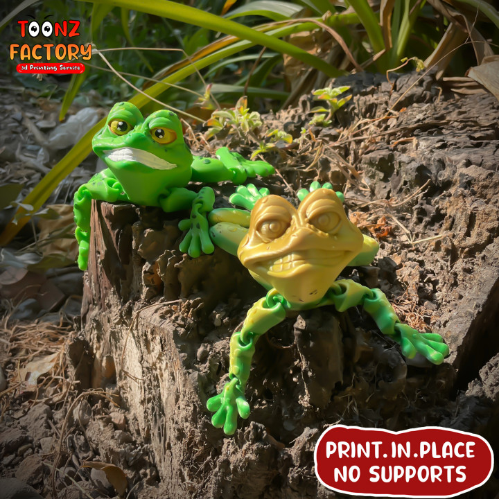 3D Printable PRINT-IN-PLACE FLEXI TOAD ARTICULATED by Toonz Factory