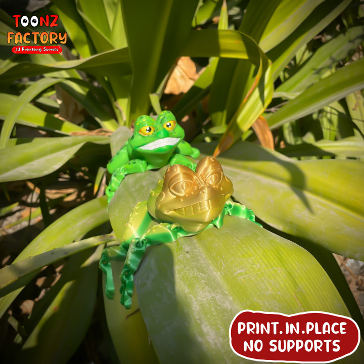 3D Printable PRINT-IN-PLACE FLEXI TOAD ARTICULATED by Toonz Factory