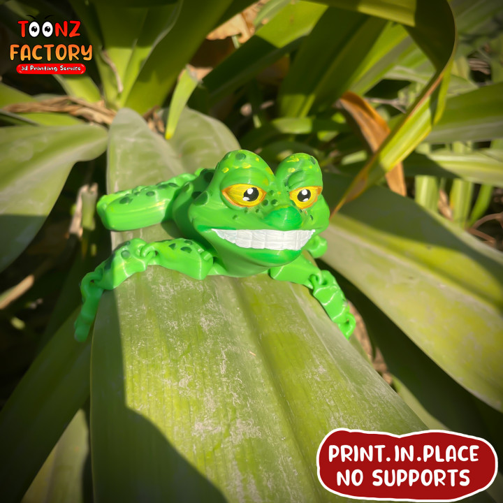 3D Printable PRINT-IN-PLACE FLEXI TOAD ARTICULATED by Toonz Factory