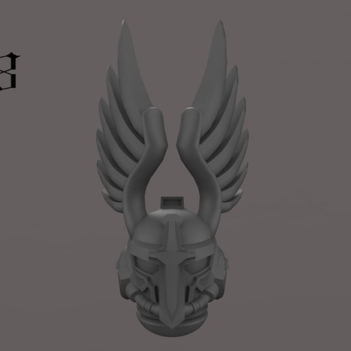 3D Printable Proxy set dark star warriors angels head V2 by MCGuild