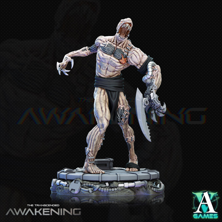 3D Printable The Transcended - Awakening - Bundle by Archvillain Games