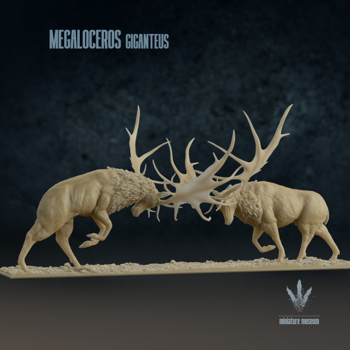 3D Printable Megaloceros giganteus : Display Fight by Miniature Museum