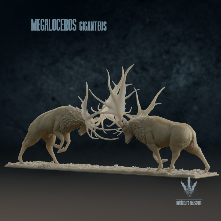 3D Printable Megaloceros giganteus : Display Fight by Miniature Museum