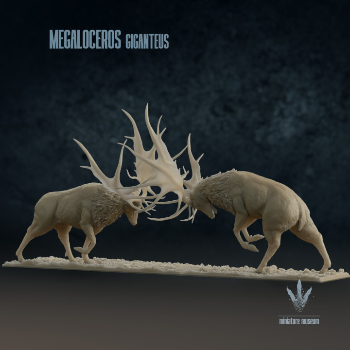 3D Printable Megaloceros giganteus : Display Fight by Miniature Museum