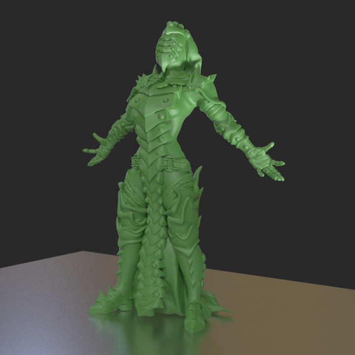3D Printable Maev the Summoning Wych by Harry's 3d Sculpting