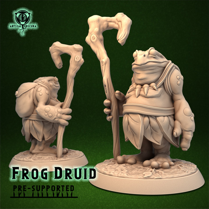 3D Printable Frog Druid - Tabletop Miniature by Josh Hardie