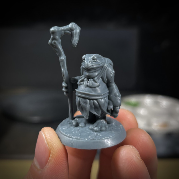 3D Printable Frog Druid - Tabletop Miniature by Josh Hardie