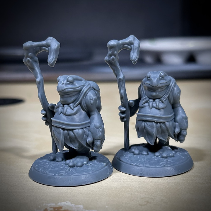 3D Printable Frog Druid - Tabletop Miniature by Josh Hardie