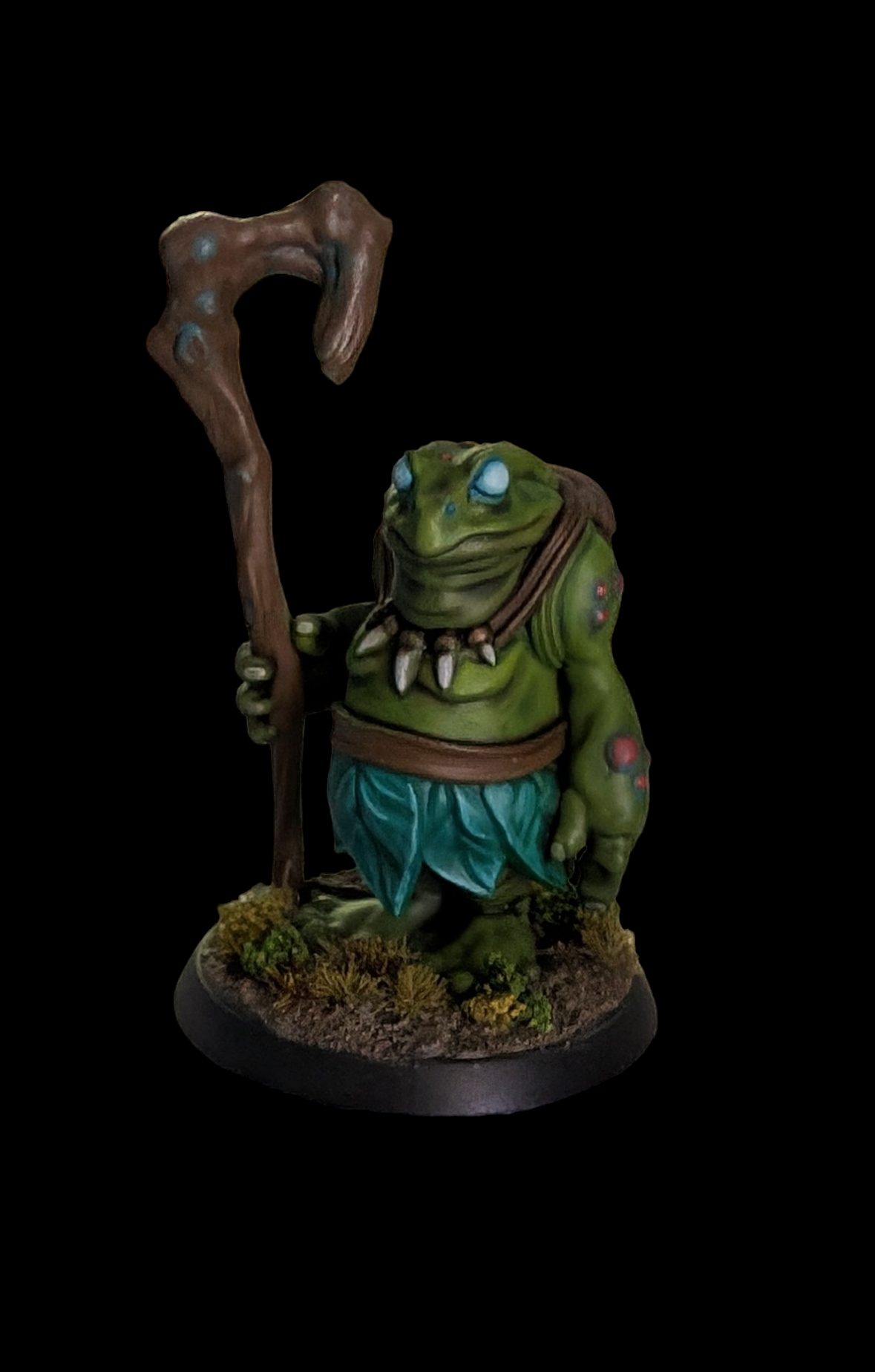 3D Printable Frog Druid - Tabletop Miniature by Josh Hardie