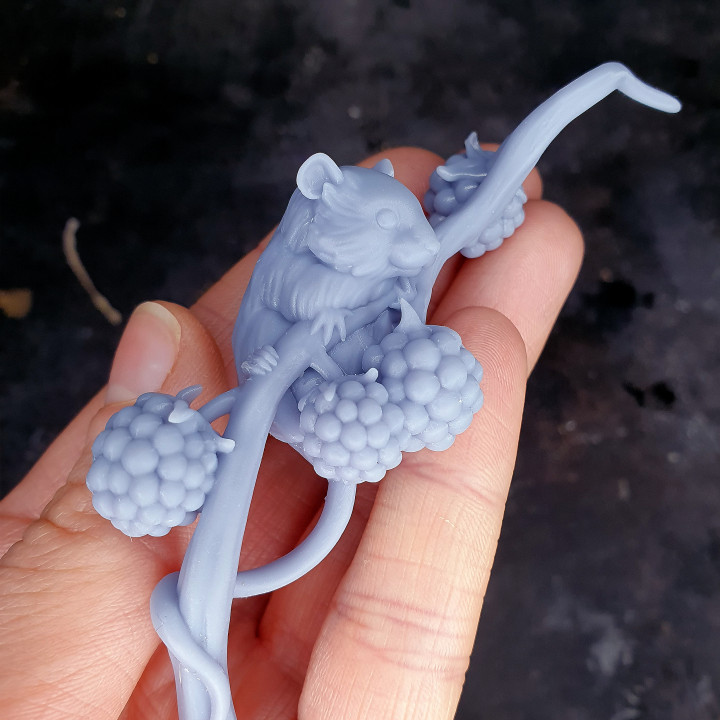 3D Printable Harvest Mouse (Micromys minutus) on Blackberries by Momo