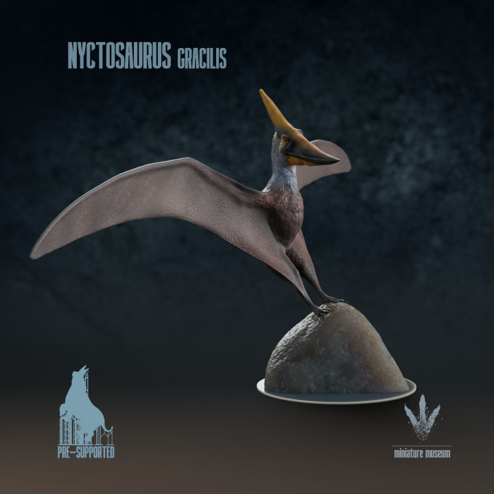 3D Printable Nyctosaurus gracilis : Landing by Miniature Museum