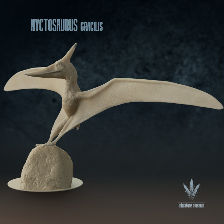 3D Printable Nyctosaurus gracilis : Landing by Miniature Museum