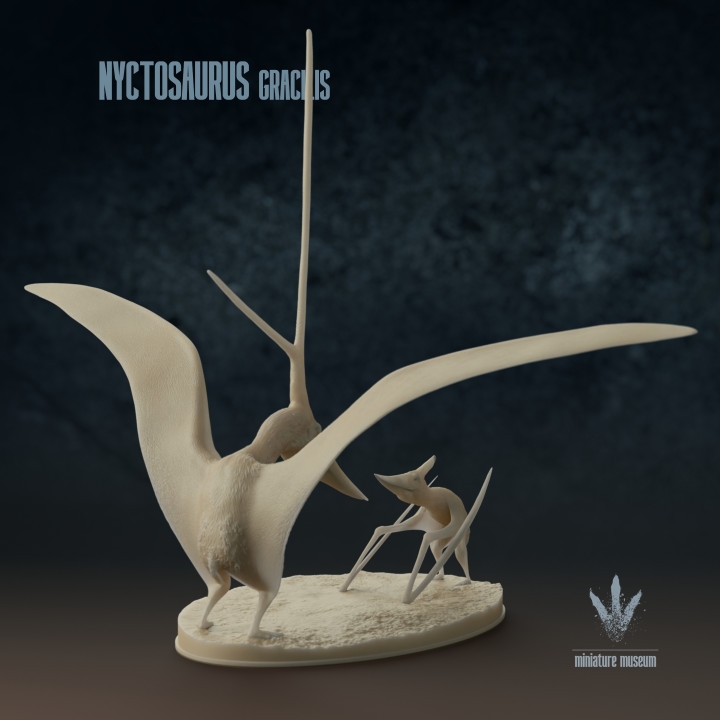 3D Printable Nyctosaurus gracilis : Display by Miniature Museum