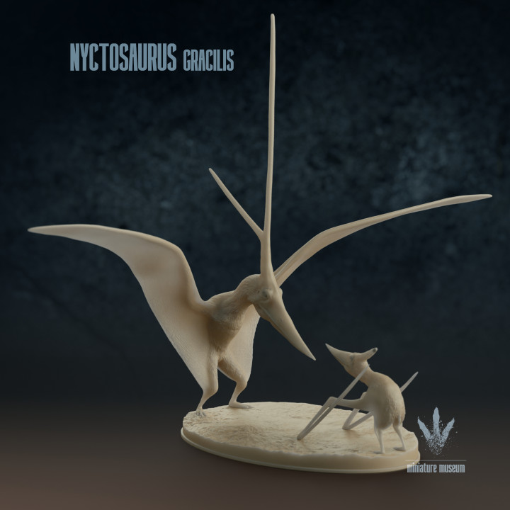 3D Printable Nyctosaurus gracilis : Display by Miniature Museum