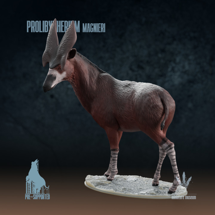 3D Printable Prolibytherium magnieri : Prehistoric Okapi by Miniature ...
