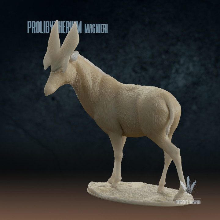 3D Printable Prolibytherium magnieri : Prehistoric Okapi by Miniature ...