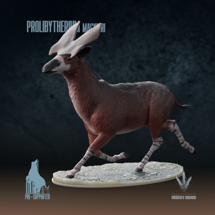 3D Printable Prolibytherium magnieri : Trotting by Miniature Museum