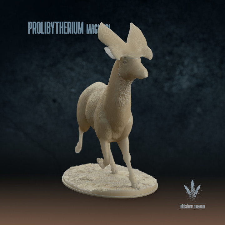 3D Printable Prolibytherium magnieri : Trotting by Miniature Museum