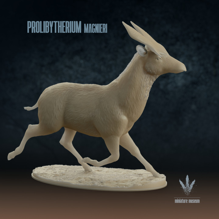 3D Printable Prolibytherium magnieri : Trotting by Miniature Museum