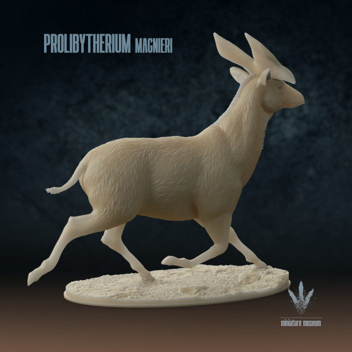 3D Printable Prolibytherium magnieri : Trotting by Miniature Museum