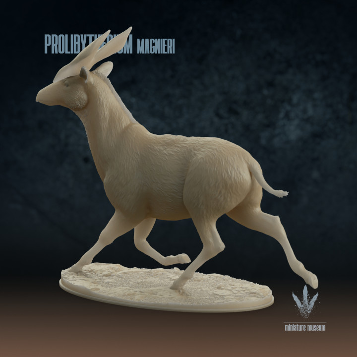 3D Printable Prolibytherium magnieri : Trotting by Miniature Museum