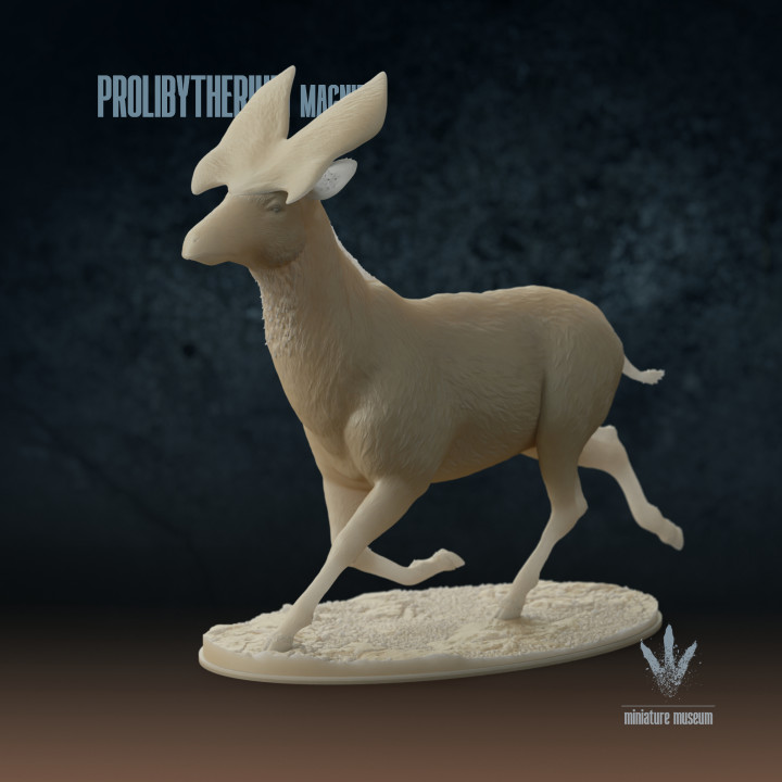 3D Printable Prolibytherium magnieri : Trotting by Miniature Museum
