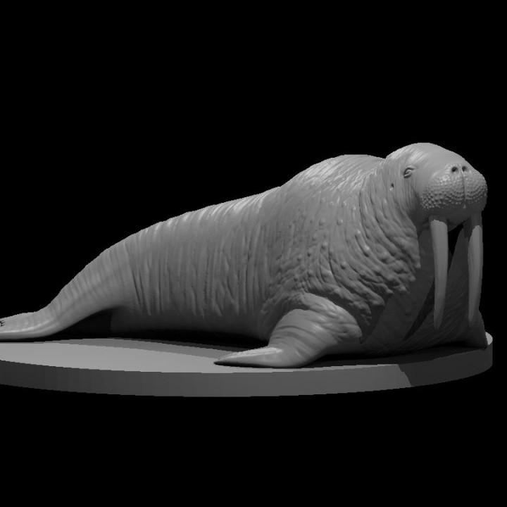 3D Printable Walrus and Dire Walrus minis by Miguel Zavala