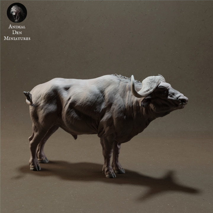 3D Printable Cape Buffalo by Animal Den Miniatures