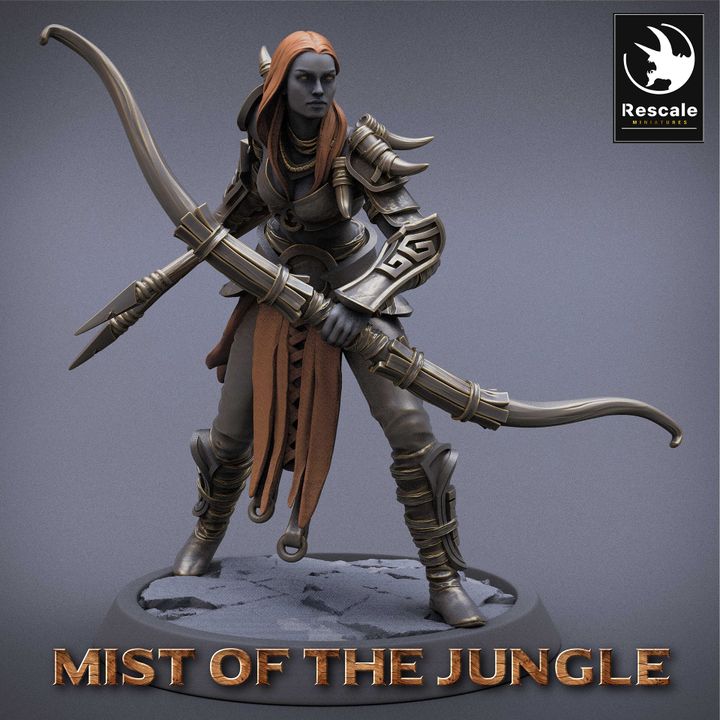 3D Printable Pack Amazon Light Infantry by Rescale Miniatures