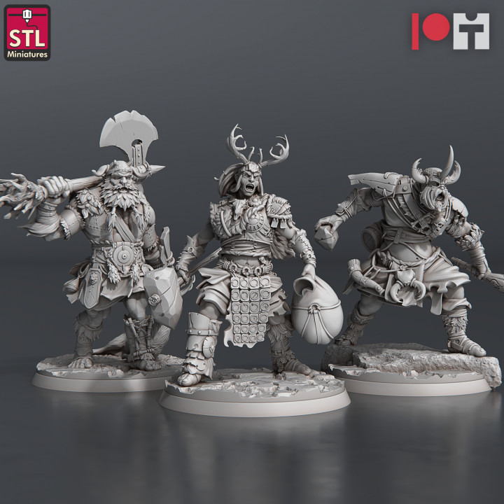 3D Printable Frost Giant Set by STL Miniatures