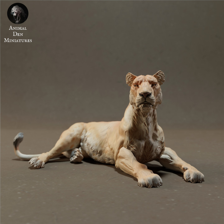 3D Printable Lioness Lying by Animal Den Miniatures