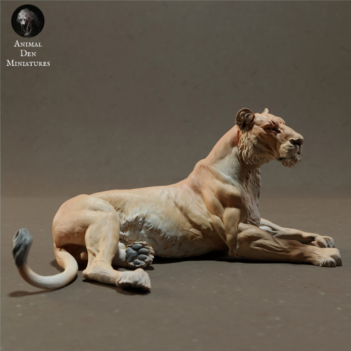 3D Printable Lioness Lying by Animal Den Miniatures