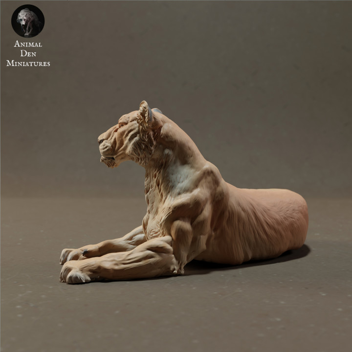 3D Printable Lioness Lying by Animal Den Miniatures