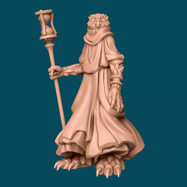 3D Printable Netta, an owl lady by Awkward Penguin's Minis