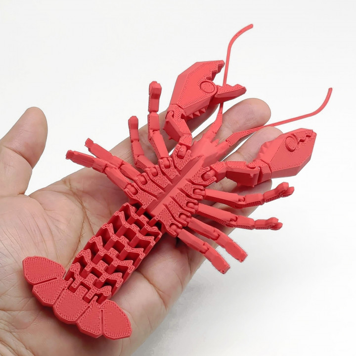 3D Printable Boston lobster by Amao Chan