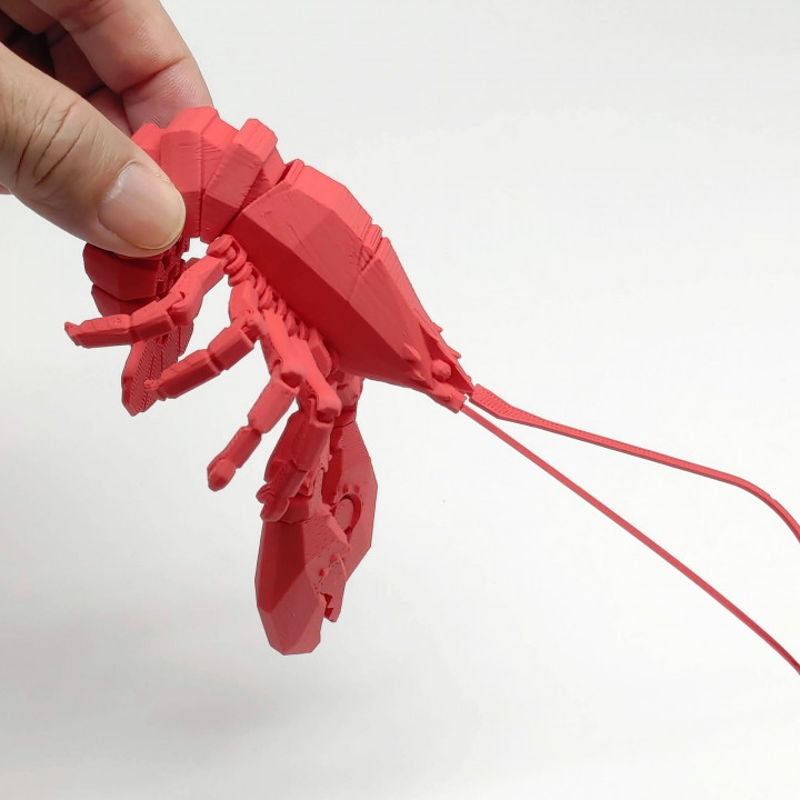 3D Printable Boston lobster by Amao Chan