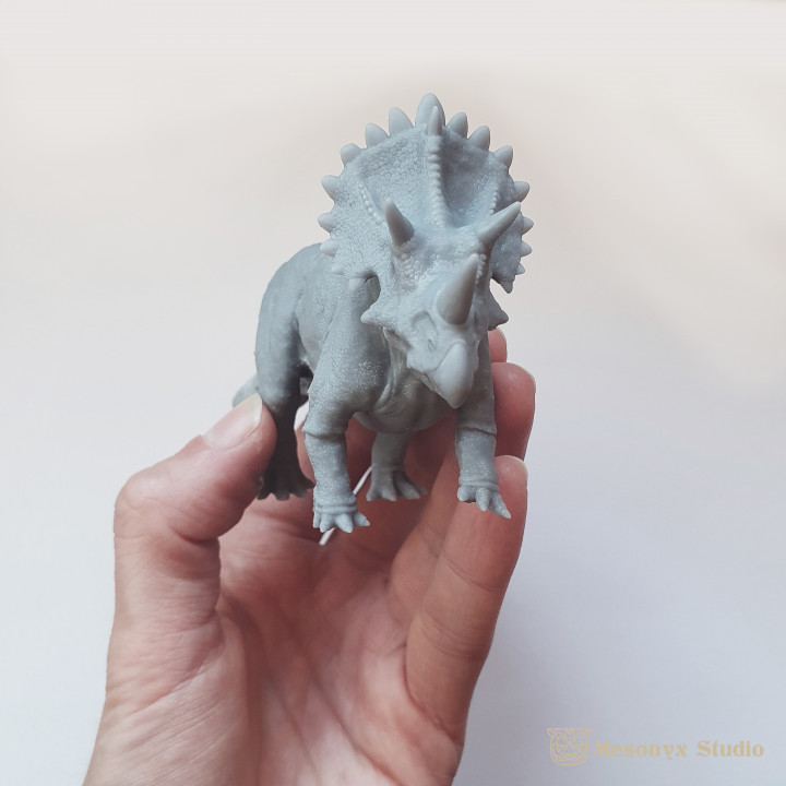 3D Printable Regaliceratops by Momo