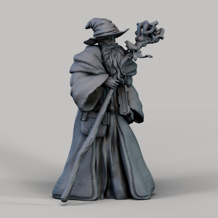 3D Printable Fyzz the Wizard, the Old Archmage by 2moronic miniatures