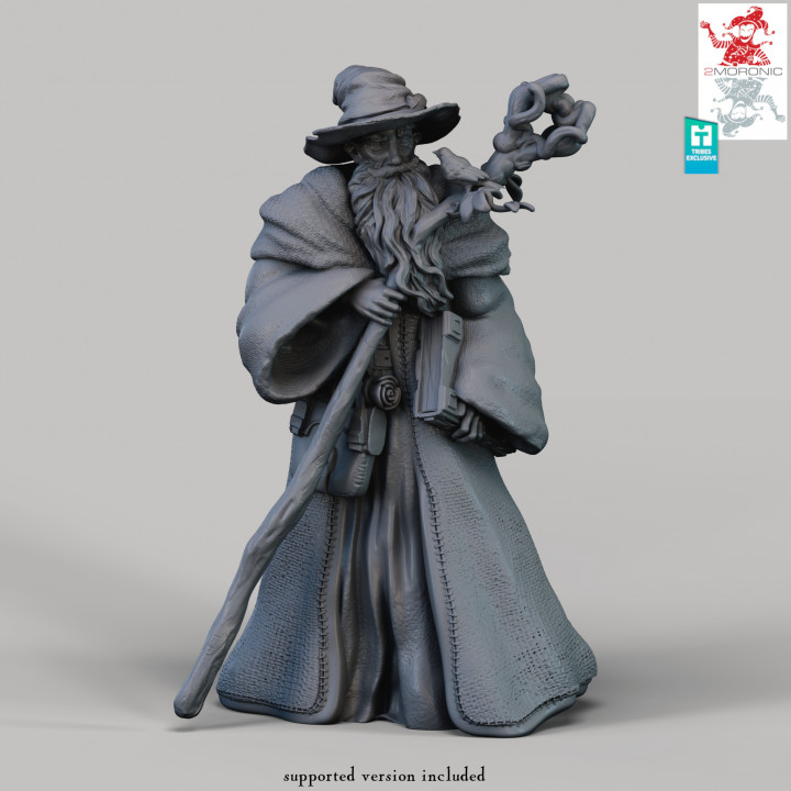 3D Printable Fyzz the Wizard, the Old Archmage by 2moronic miniatures