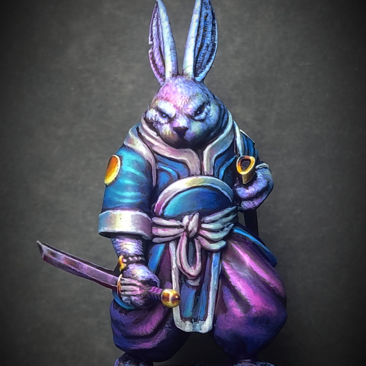 3D Print of Rabbitfolk Warrior - Coiled Strike, Guanghan Swordsman (Pre ...