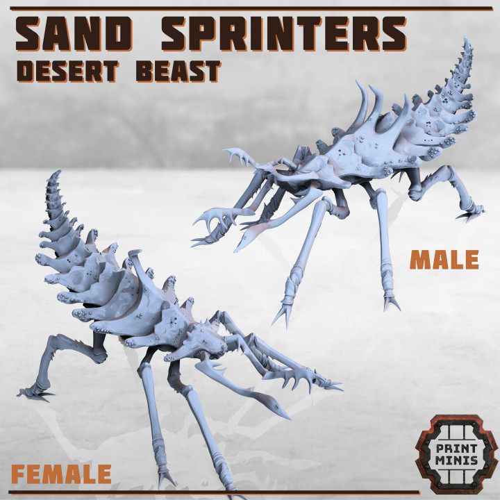3D Printable Erroish Beast Trainer and Sand Sprinters by Print Minis