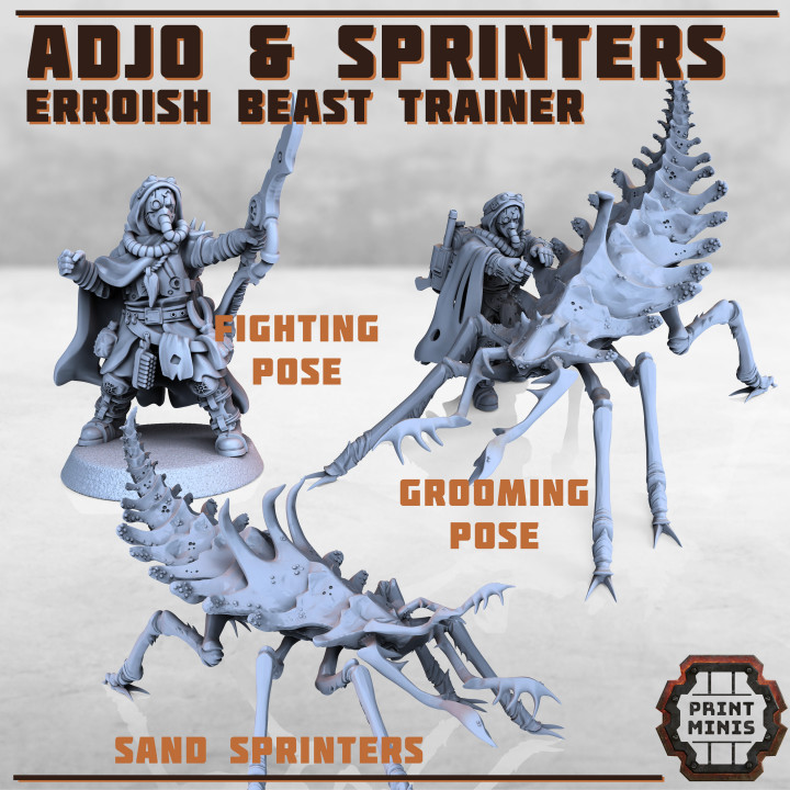 3D Printable Erroish Beast Trainer and Sand Sprinters by Print Minis