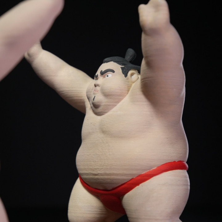 3D Printable Sumo Napkin Holder by Stlflix