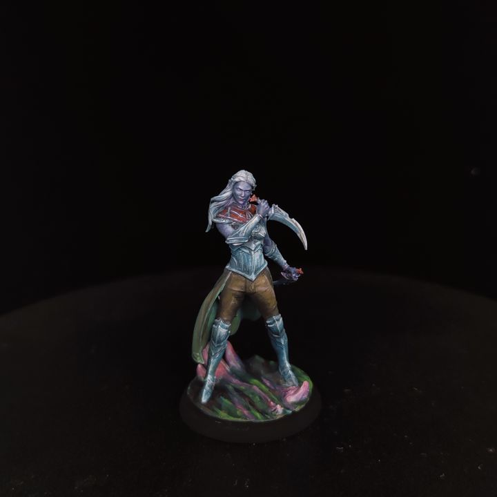 3D Print of Drow Assassins females set 6 miniatures by Janoo