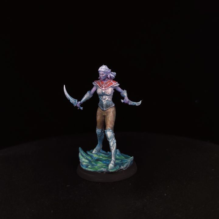 3D Print of Drow Assassins females set 6 miniatures by Janoo