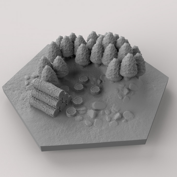 3D Printable HEXAGONAL PIECES FOR TABLETOP GAMES by Vórtice