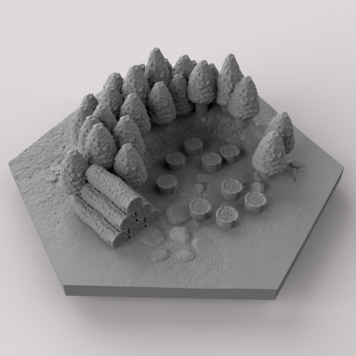 3D Printable HEXAGONAL PIECES FOR TABLETOP GAMES by Vórtice